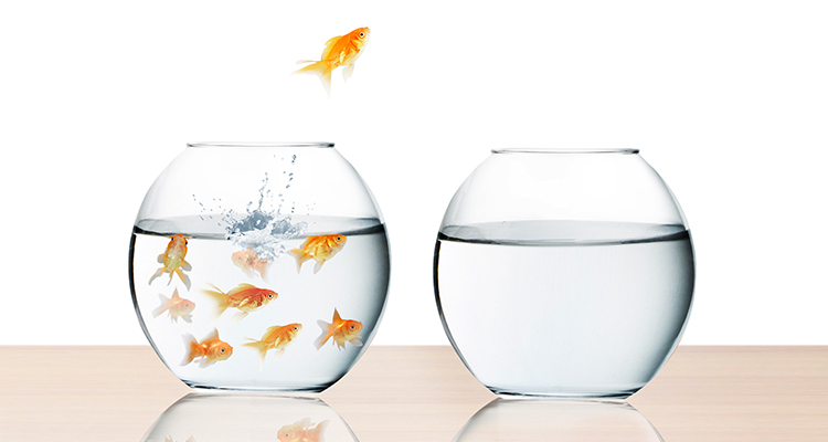 Our Values - Bali Aluminium